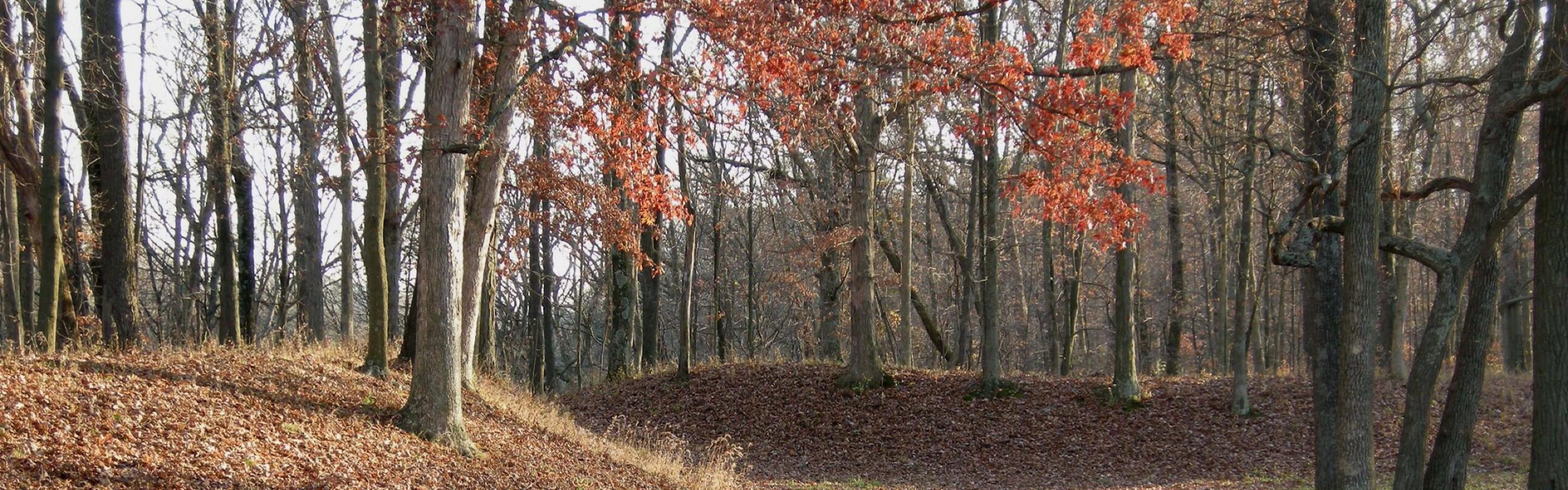 Oregonia | Hopewell Ceremonial Earthworks